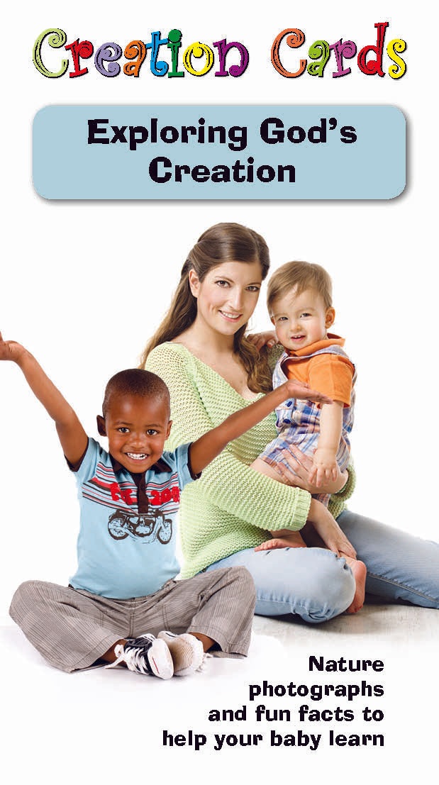 Creation Cards - Gods Creation – ApologeticsPress