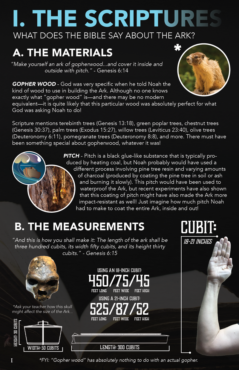 Flood - TEEN Workbook Packet (7-12th Grade) – ApologeticsPress